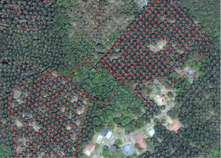 Plantation Management – Earth Observation Satellite Malaysia | Uzma ...